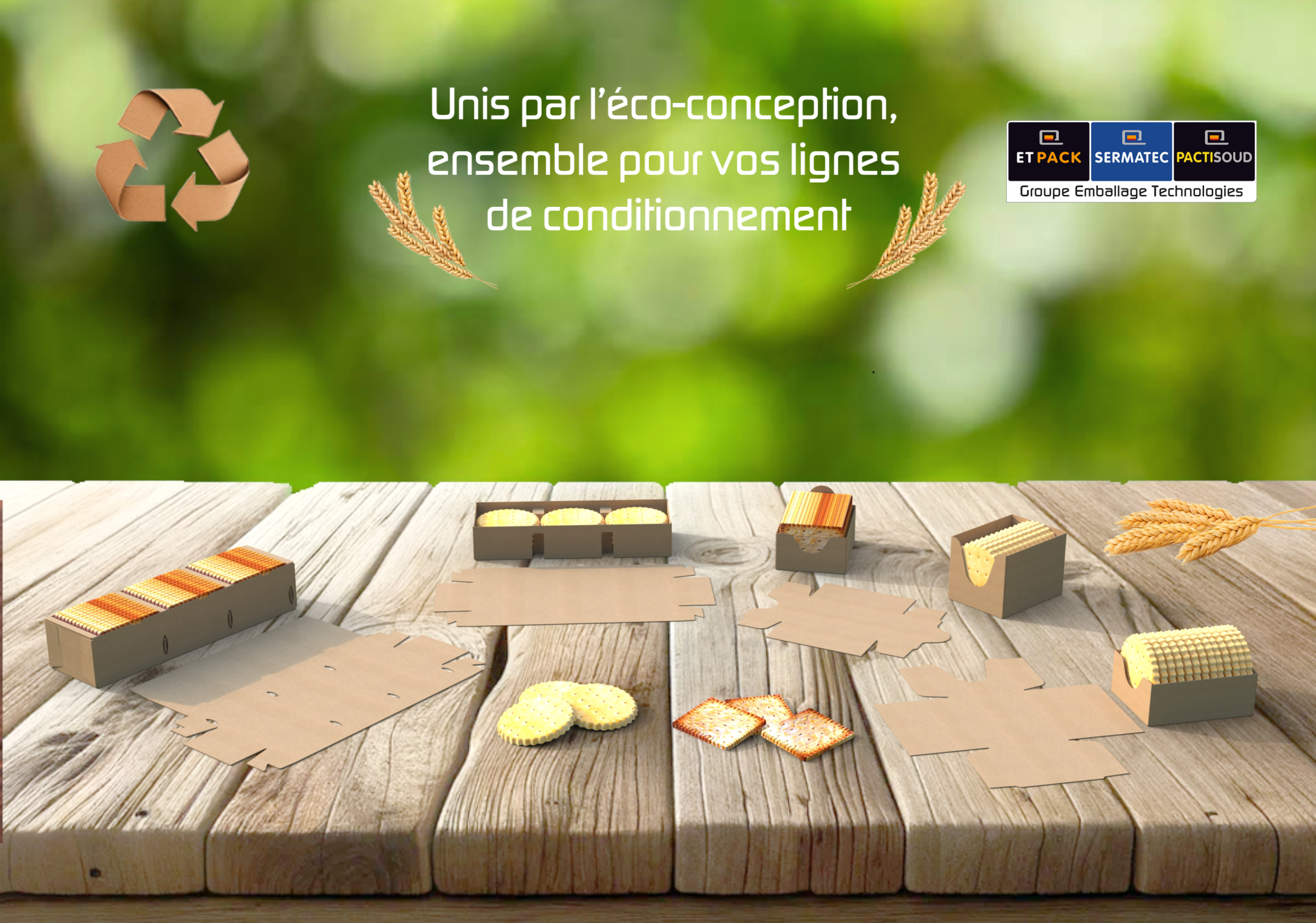 ETPACK : solutions innovantes de barquettes en carton et mise en volume ...